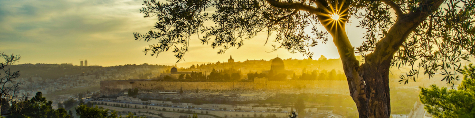 Persecuted? Rejoice & Be Glad - Jesus First, New Zealand